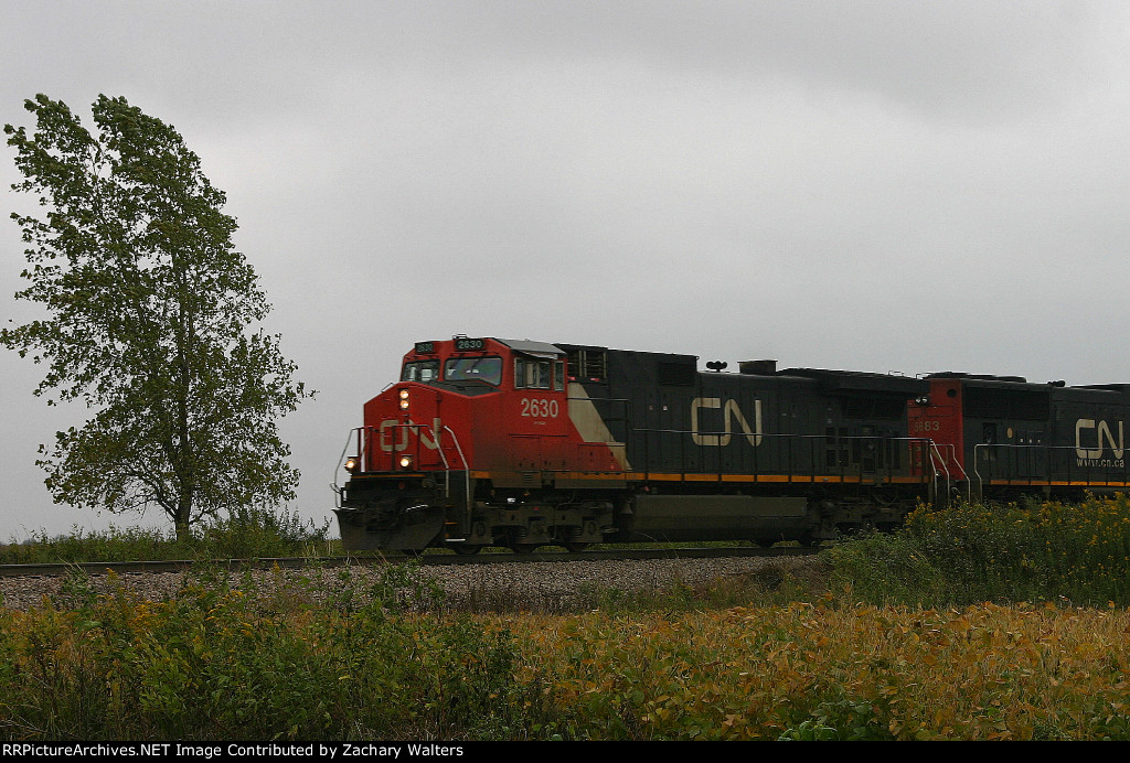 CN 2630